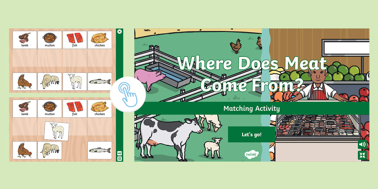 Meat Interactive Matching Game (teacher made) - Twinkl