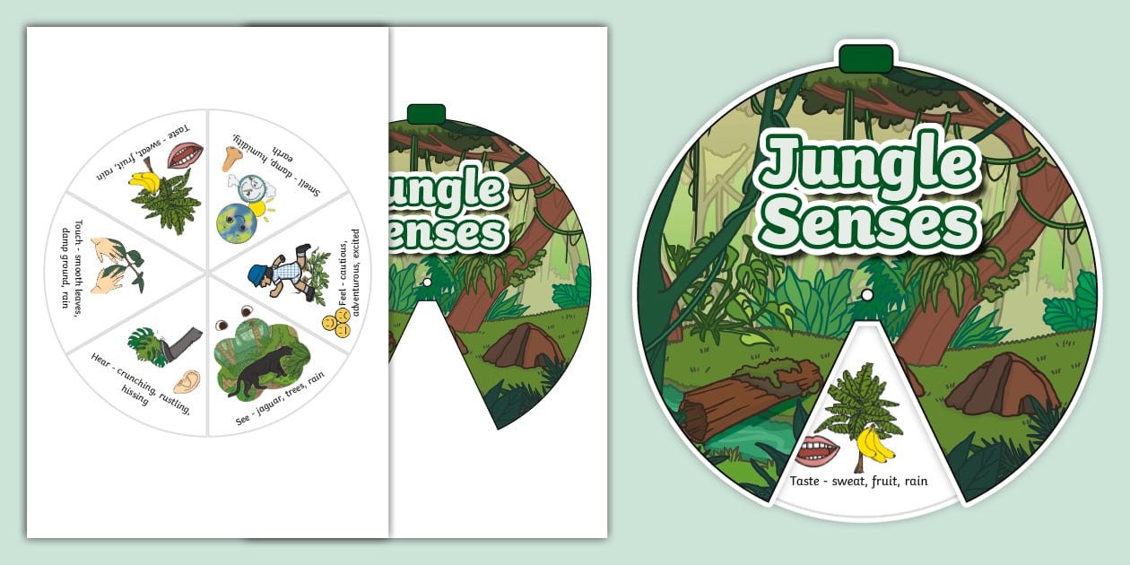 Jungle Senses Spinning Wheel - Twinkl English (teacher made)