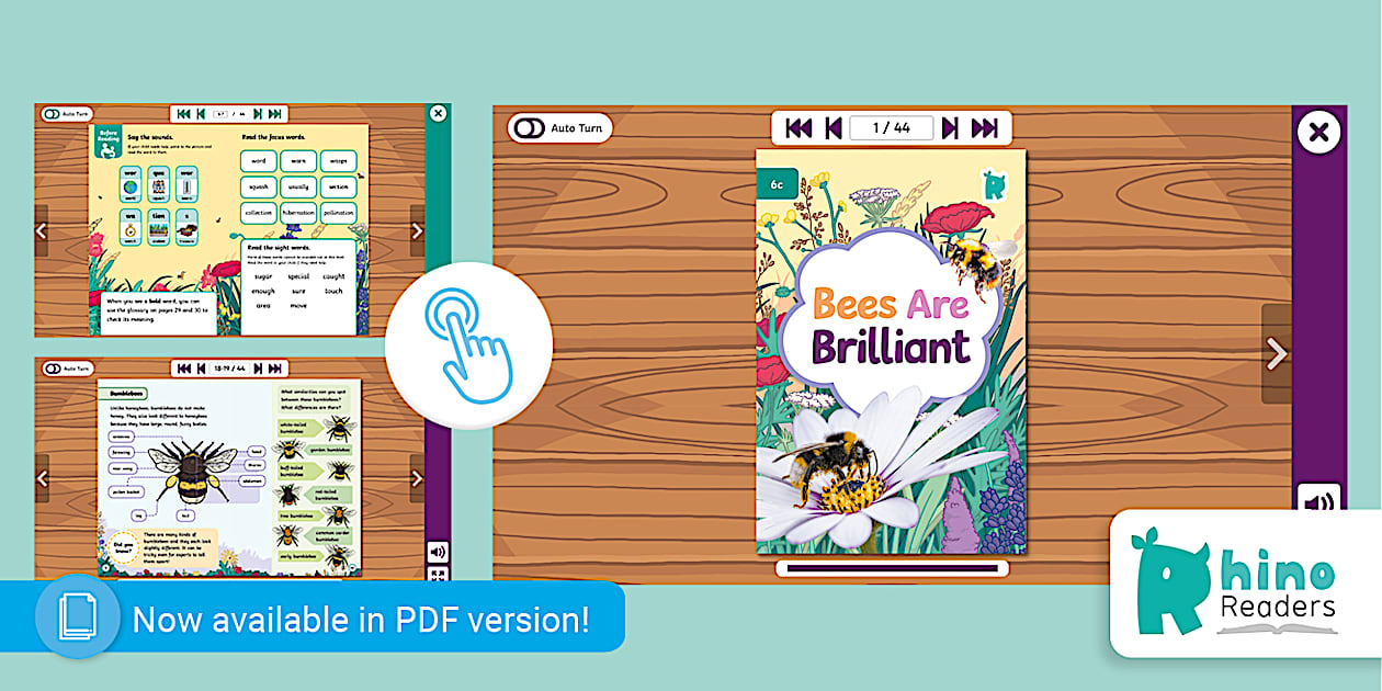 Level 6c Decodable Readers: Bees Are Brilliant - Twinkl