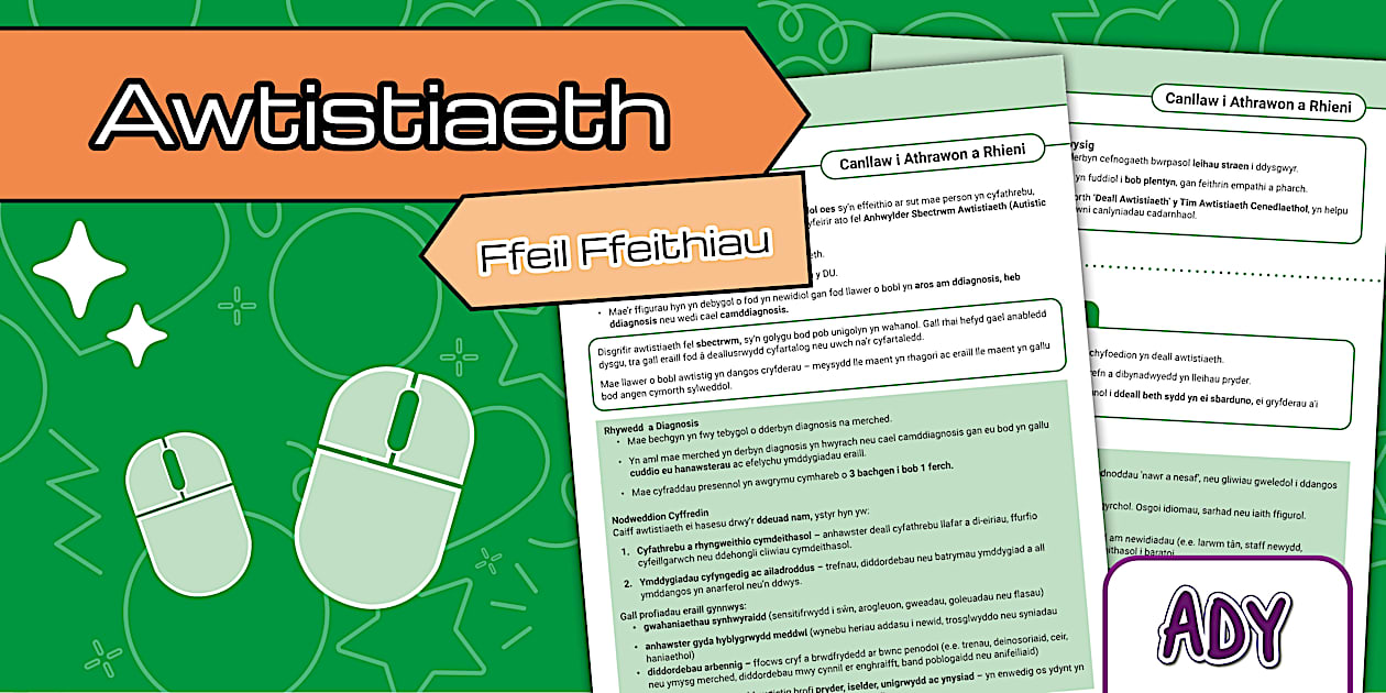 Ffeil Ffeithiau Awtistiaeth