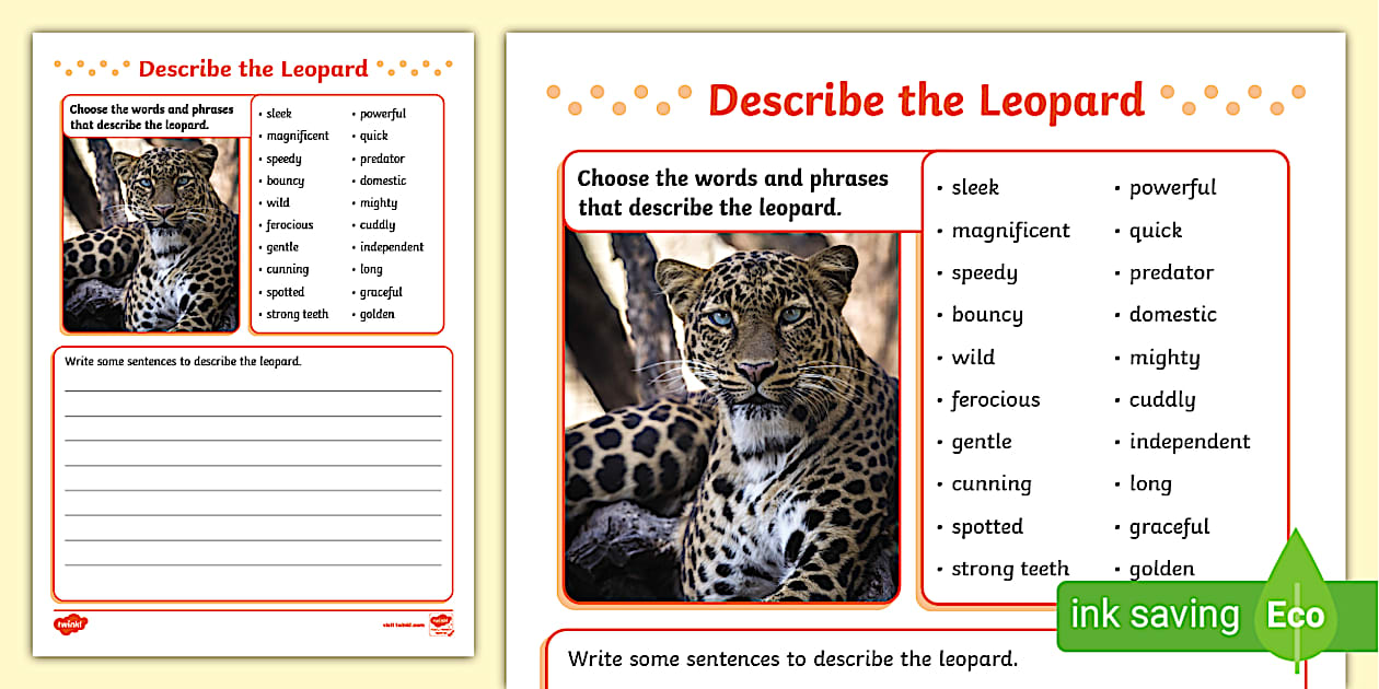 Describe the Leopard,leopard - Twinkl