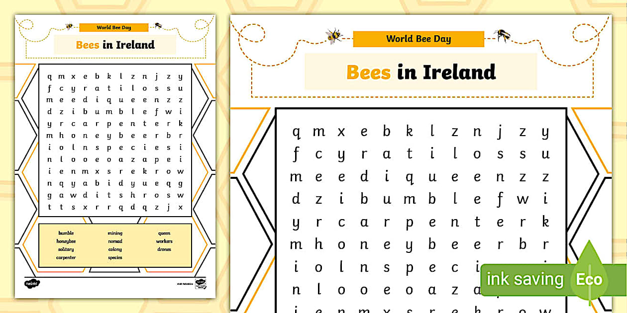 Bees in Ireland Word Search (Teacher-Made) - Twinkl