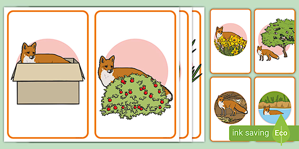 Where Is the Fox? Positional Language Picture Cards - Twinkl