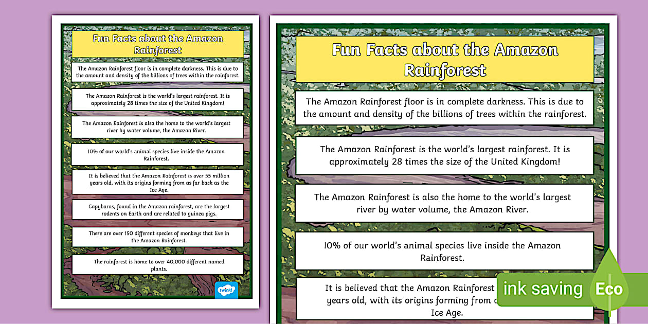 Fun Facts about the Amazon Rainforest Display Poster