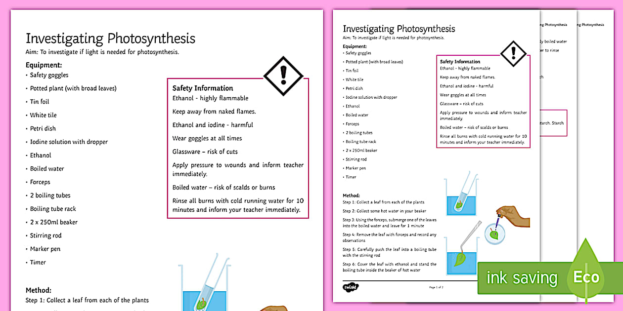 Black and White Photosynthesis Investigation Instruction Sheet Print-Out