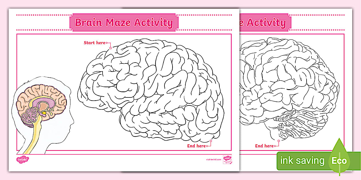 Brain-Boosting Brain Maze Activity Worksheets | Twinkl | KS2