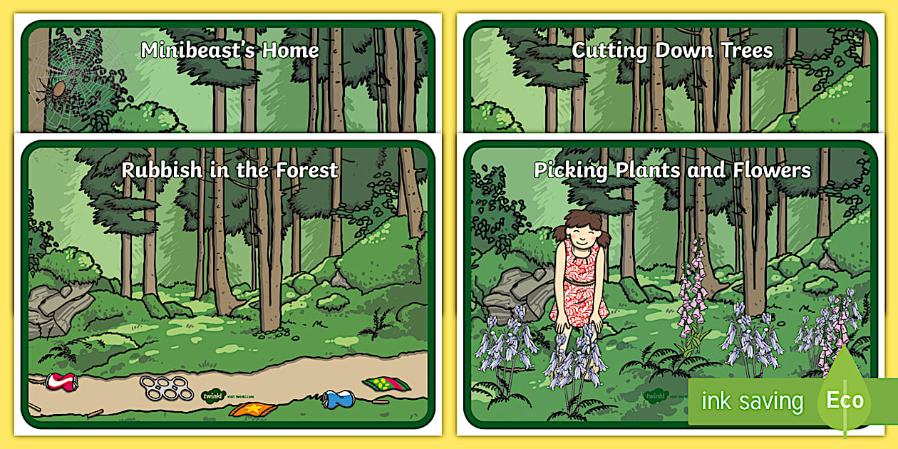 Caring for the Forest Discussion Cards (teacher made)