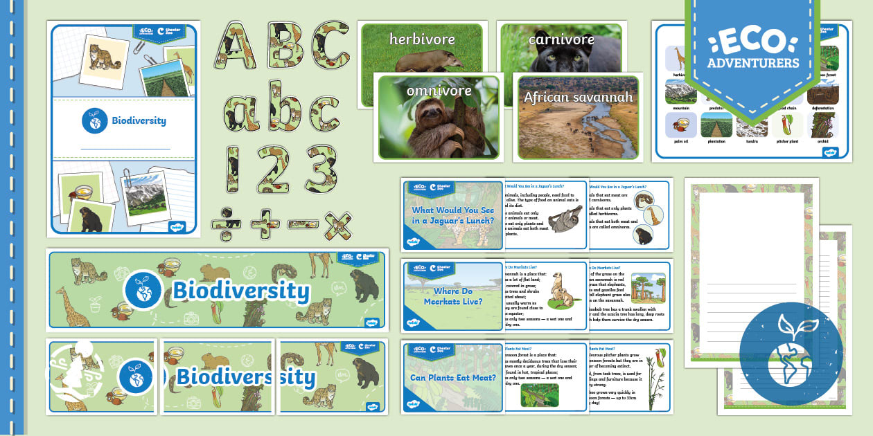 Year 2 Biodiversity: Display Pack
