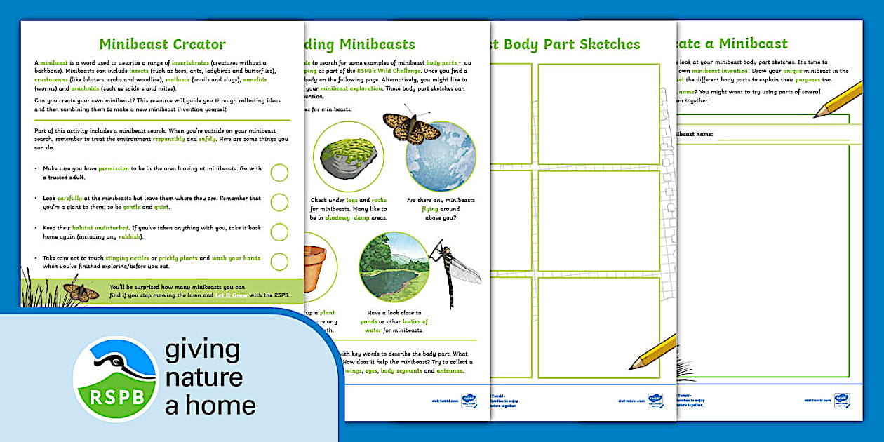 FREE! - Minibeast Creator (Ages 7 - 11) (teacher made)