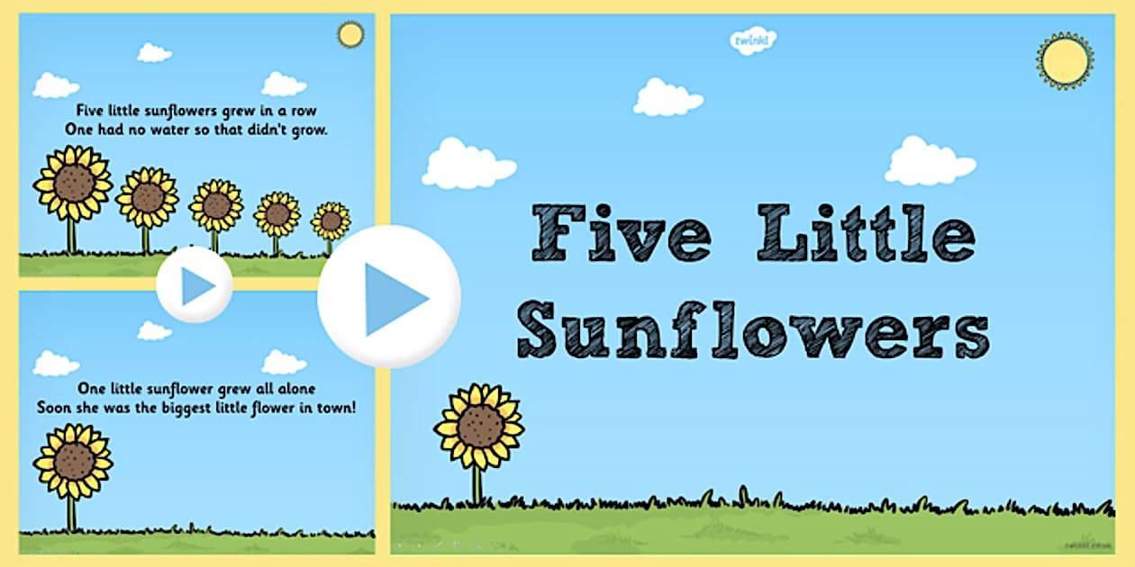 Five Little Sunflowers Counting Song PowerPoint - Twinkl