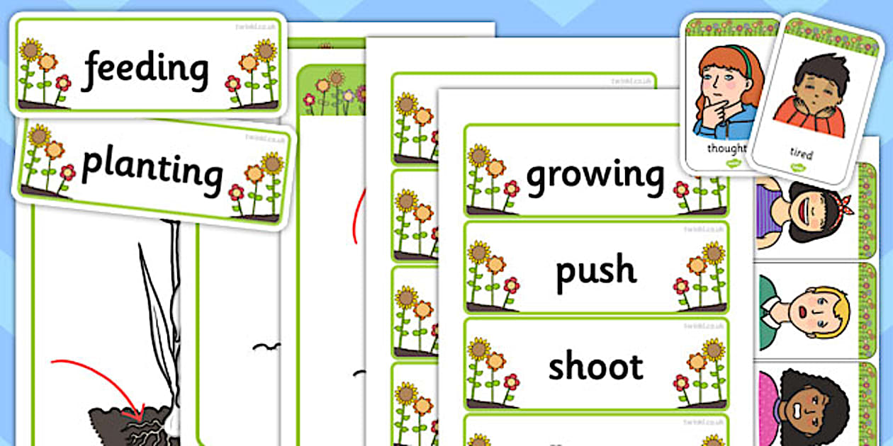 Plants and Flowers Mind Map Starter Resource Pack - Twinkl