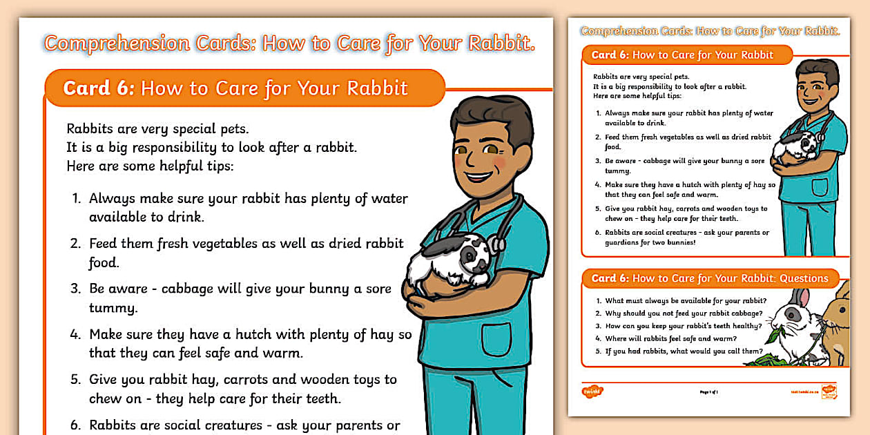 Comprehension Cards: How to Look after Your Rabbit - Twinkl