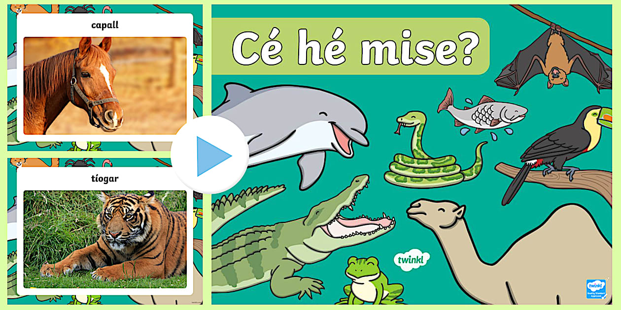 Who Am I? Animal Game PowerPoint Irish/Gaeilge