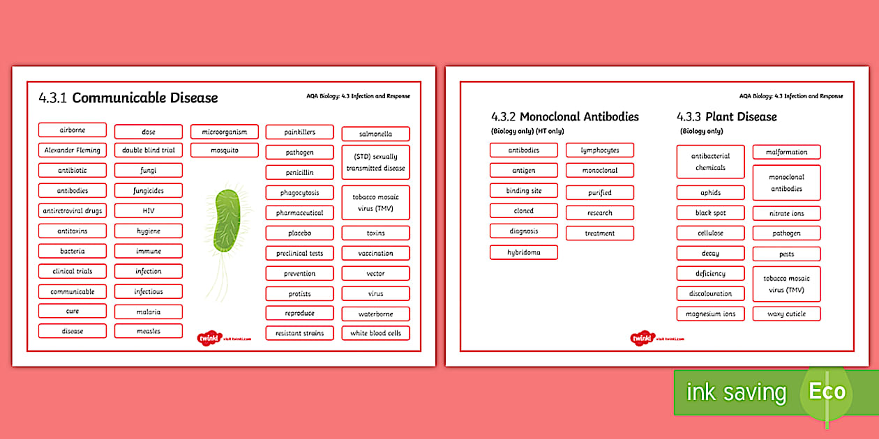 AQA Biology Unit 3 Infection and Response Word Mat
