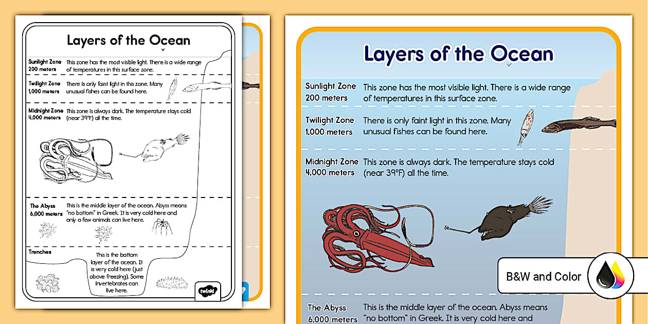 Printable Ocean Layers Worksheet | Twinkl USA (teacher made)