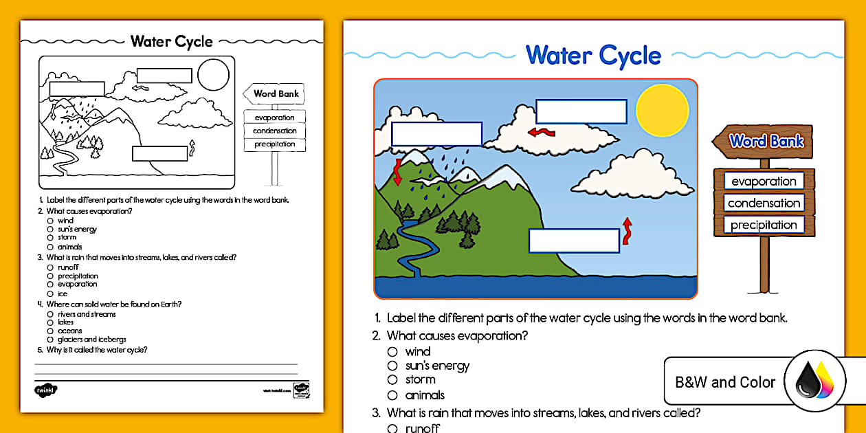 Second Grade Water Cycle Quiz (teacher made) - Twinkl