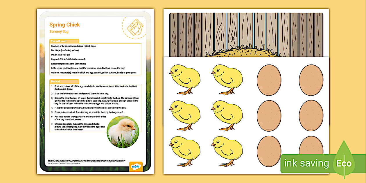 Spring Chick Sensory Bag | Sensory | Twinkl (teacher made)