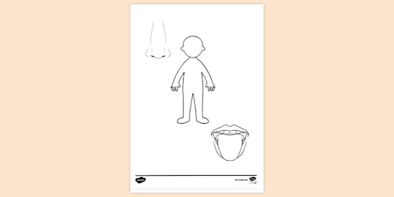 Body Parts Colouring Page For Toddlers - Colouring - Twinkl