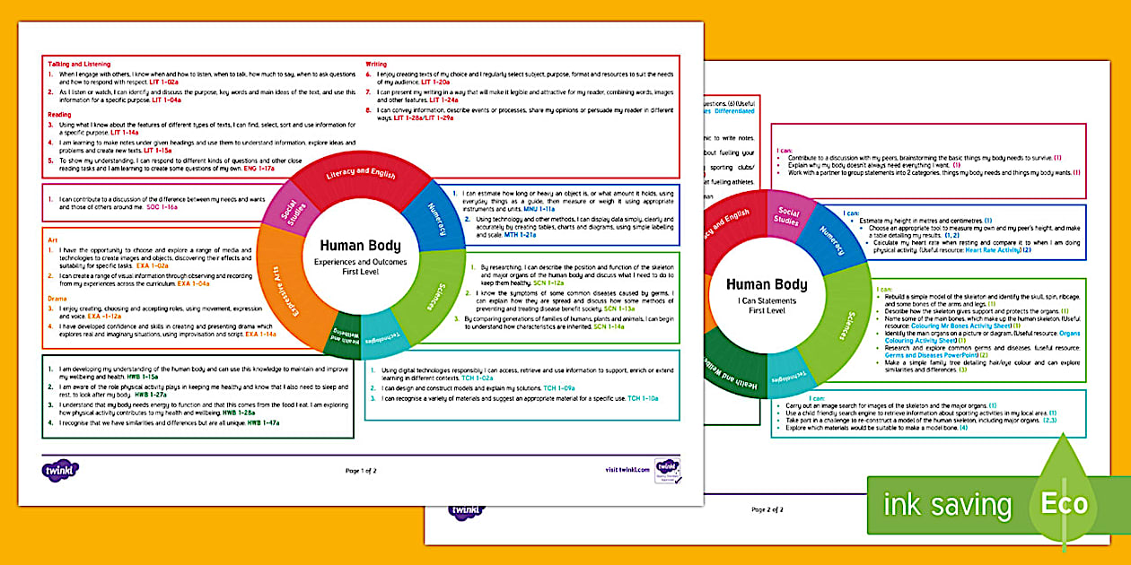 First Level Human Body Topic Web | CfE Primary Resources