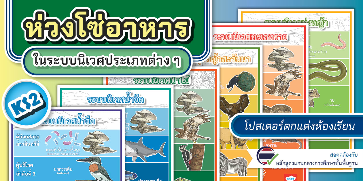 โปสเตอร์ห่วงโซ่อาหารในระบบนิเวศประเภทต่าง ๆ