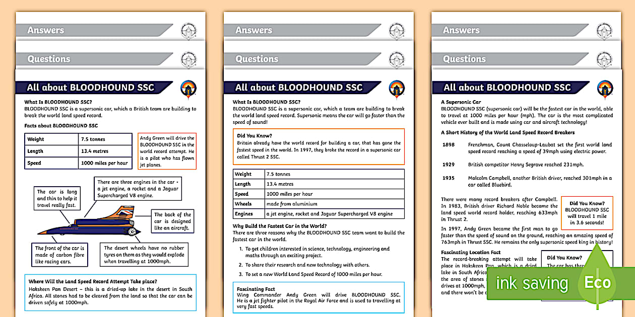FREE! - KS1 All About BLOODHOUND SSC Differentiated Reading Comprehension