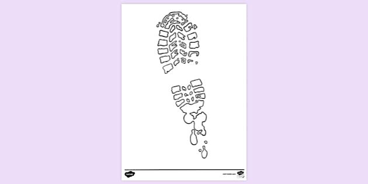 Colouring | Colouring Sheets (teacher made) - Twinkl