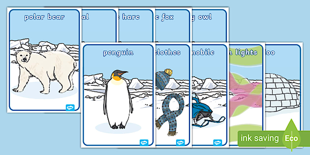 Polar Regions Display Posters (teacher made) - Twinkl
