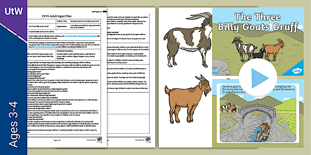 EYFS Growing Grass for the Billy Goats Gruff Adult Input