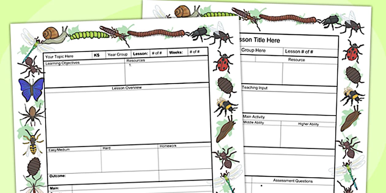 Minibeasts Mini Lesson Plan Template Doc | Primary Resources