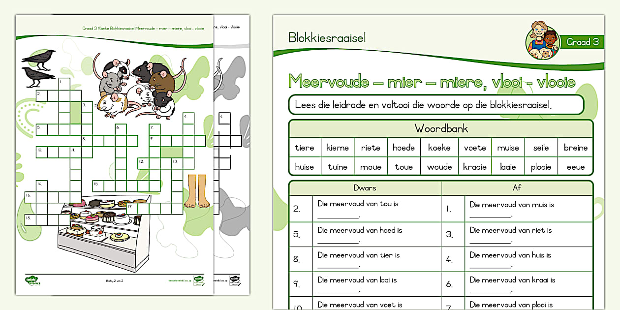 Graad 3 Klanke Blokkiesraaisel Meervoude – mier – miere, vlooi – vlooie