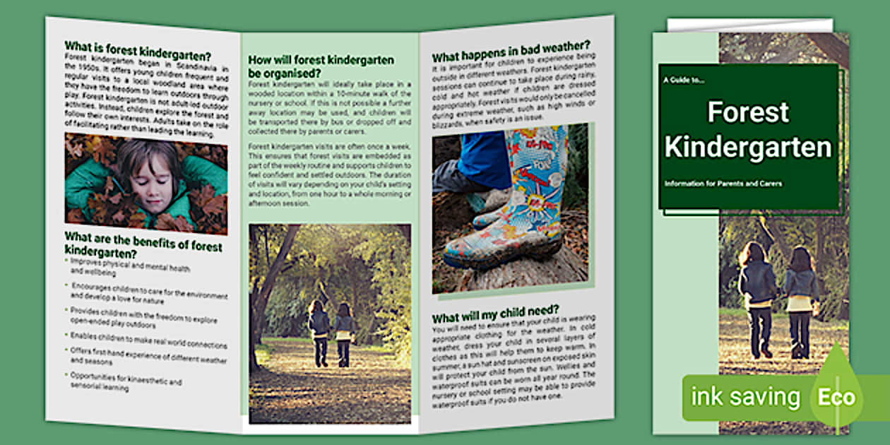 Editable Forest Kindergarten Parent and Carer Information Leaflet
