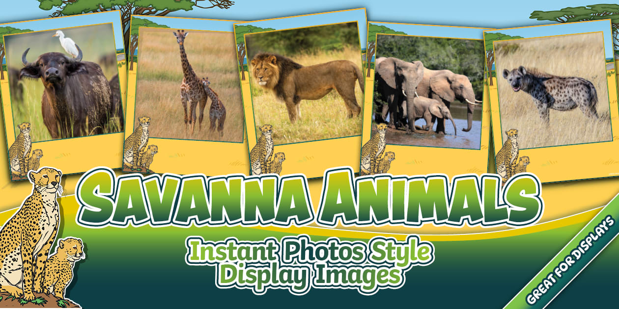 * NEW * Savanna Animals Instant Photos Style Display Images