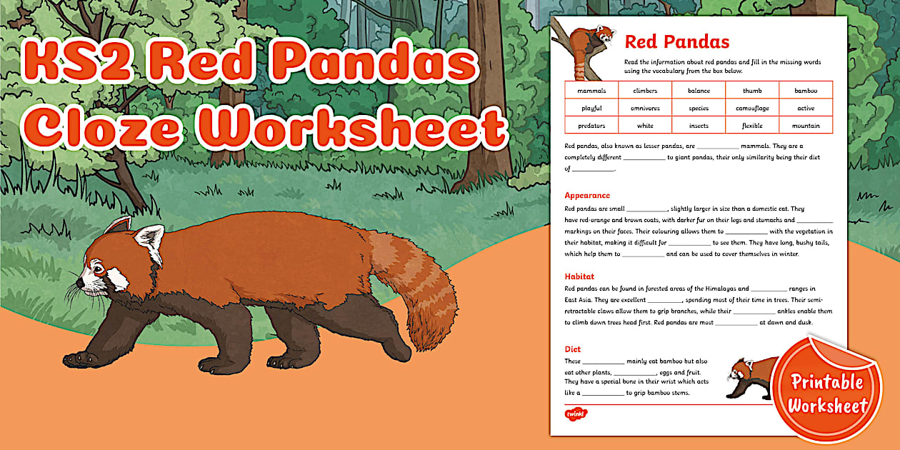 KS2 Red Pandas Cloze Worksheet - Twinkl