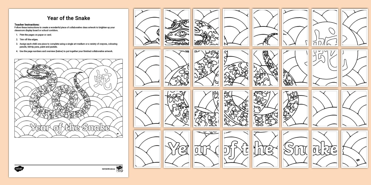 Year of the Snake Collaborative Colouring (teacher made)