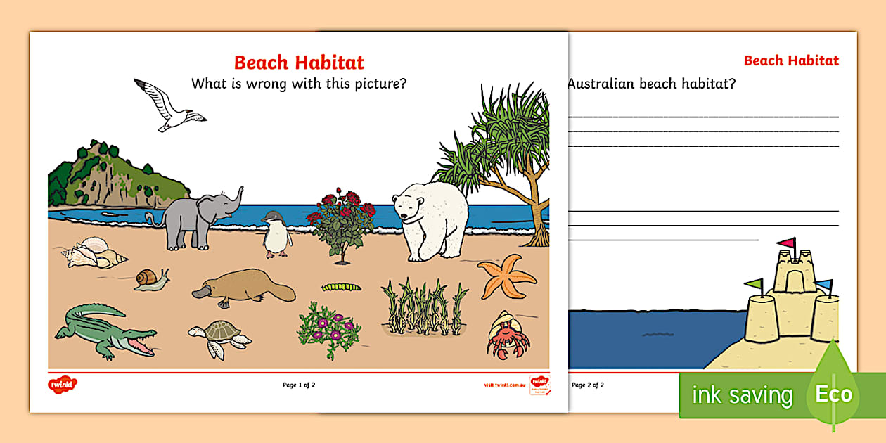 NSW What's Wrong with the Beach Habitat? Worksheet - Twinkl