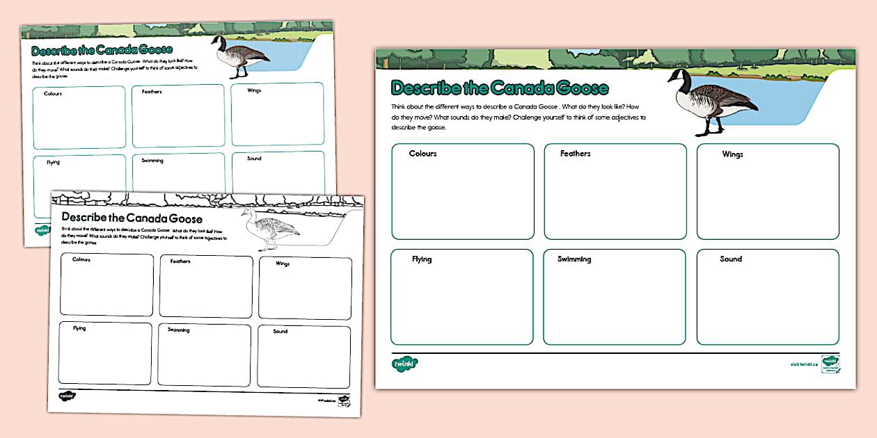 Canada Goose Adjectives Worksheet (teacher made) - Twinkl