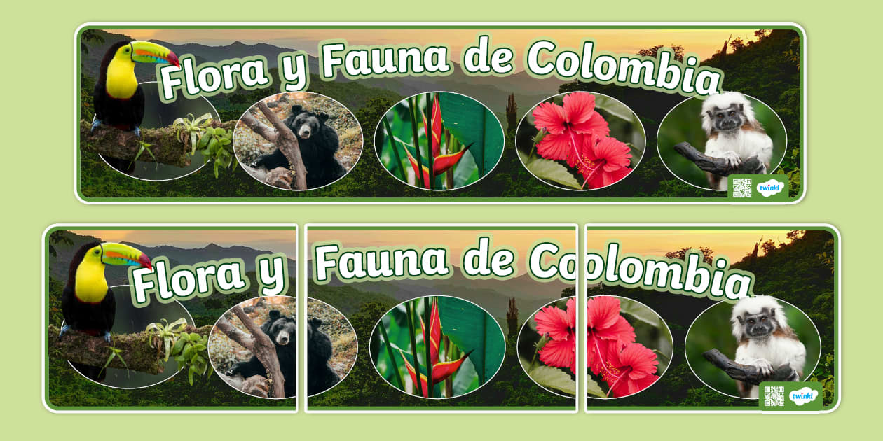 Pancarta: Flora y Fauna de Colombia (Lehrer gemacht)