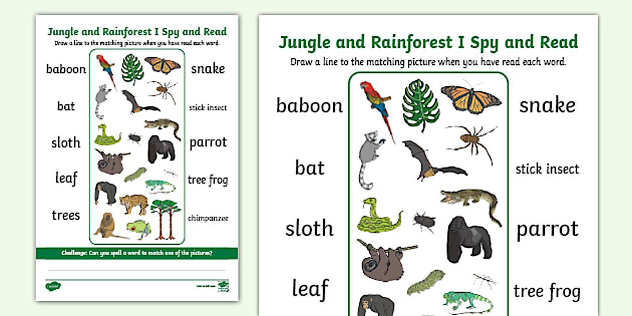 Jungle and Rainforest I Spy and Read: Phase 5 Phonics Activity