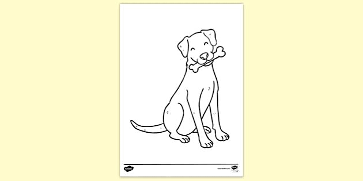 Dog Colouring Page Printable (professor feito) - Twinkl
