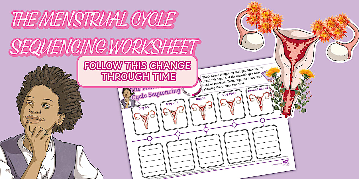The Menstrual Cycle Sequencing Worksheet