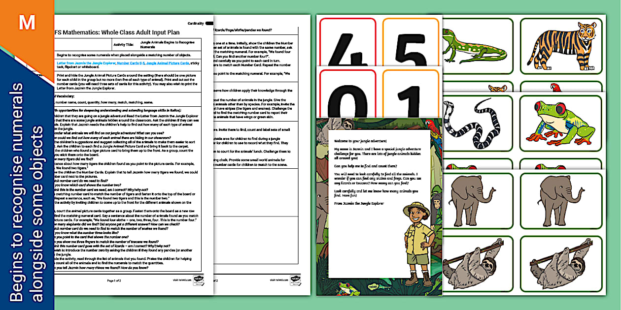 EYFS Maths Jungle Animals Adult Input Plan and Resource Pack