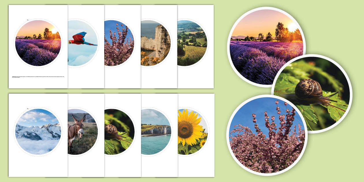 Découpages : La nature - Twinkl Découpages - Twinkl