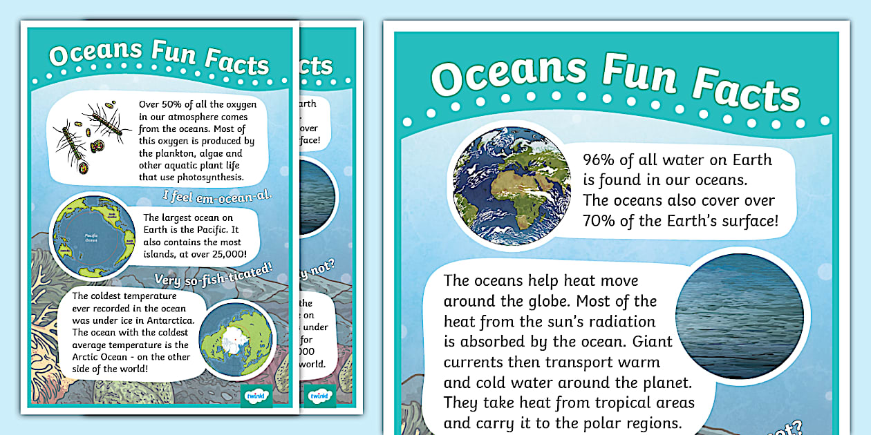 Ocean Puns | Fun Facts About World Ocean Day | Twinkl | KS1
