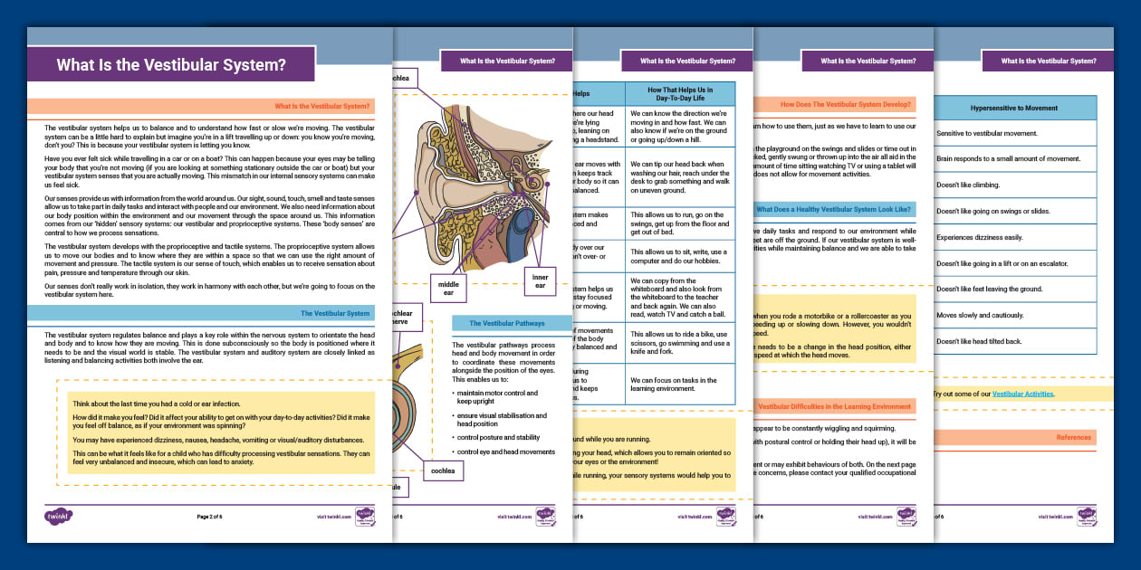 OT: What is the Vestibular System? (teacher made) - Twinkl