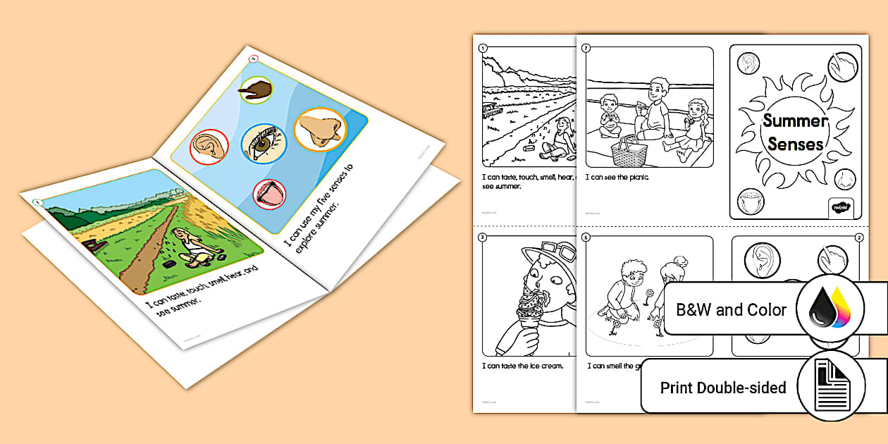 Summer Senses Emergent Reader (Teacher-Made) - Twinkl