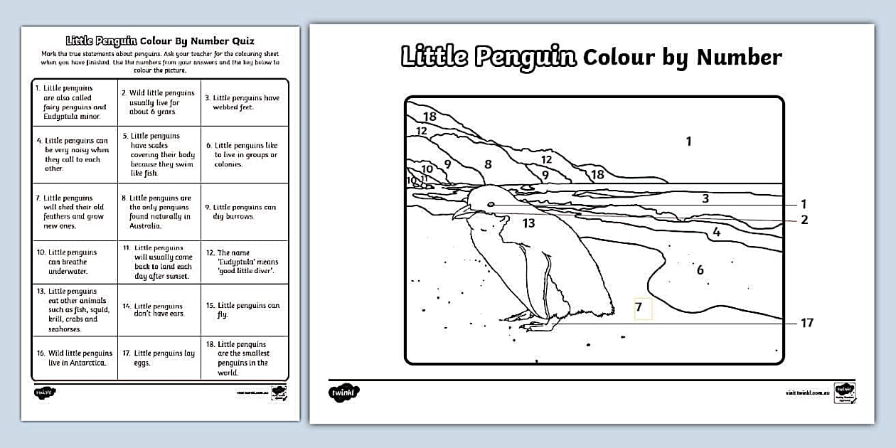 Little Penguin Colour By Number Quiz (Teacher-Made) - Twinkl