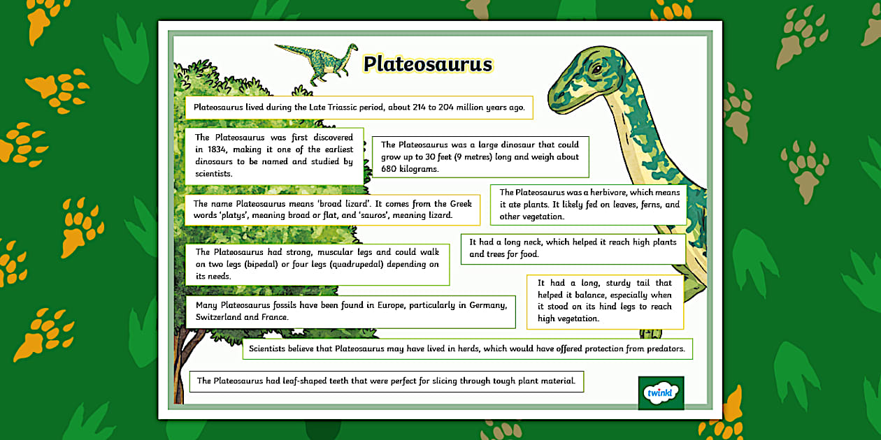 Plateosaurus Facts Display Poster (teacher made) - Twinkl