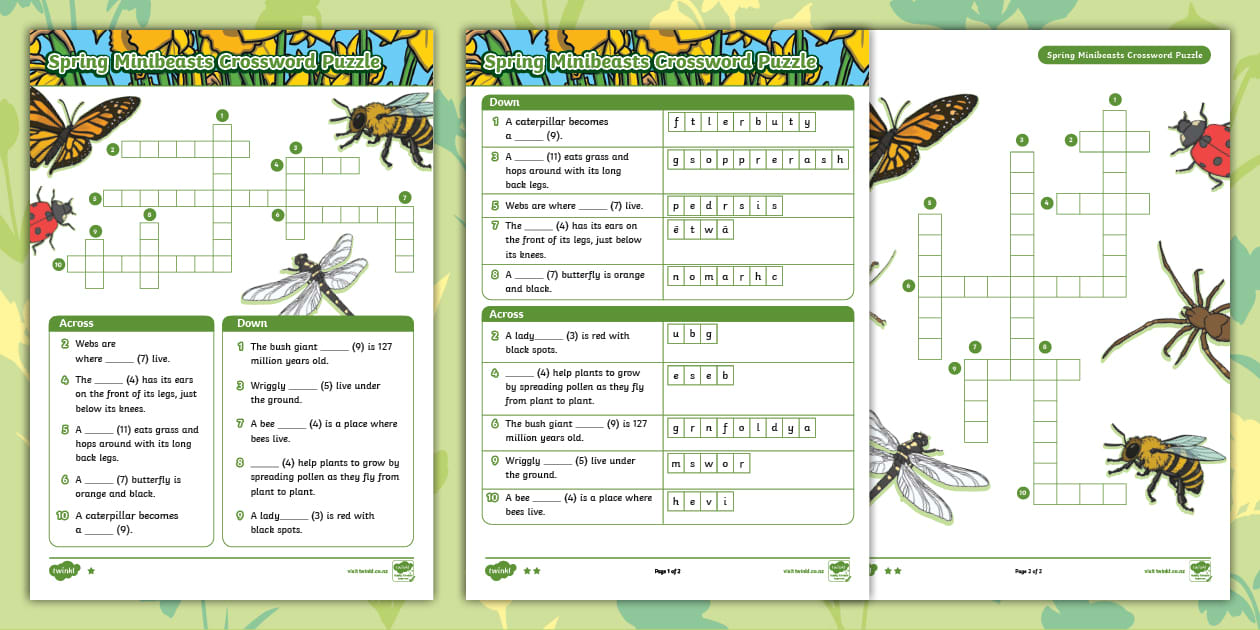 Spring Minibeasts Crossword Puzzle (teacher made) - Twinkl
