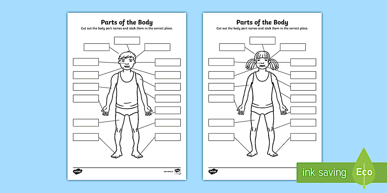 Body Parts Cut and Stick Worksheet - Twinkl