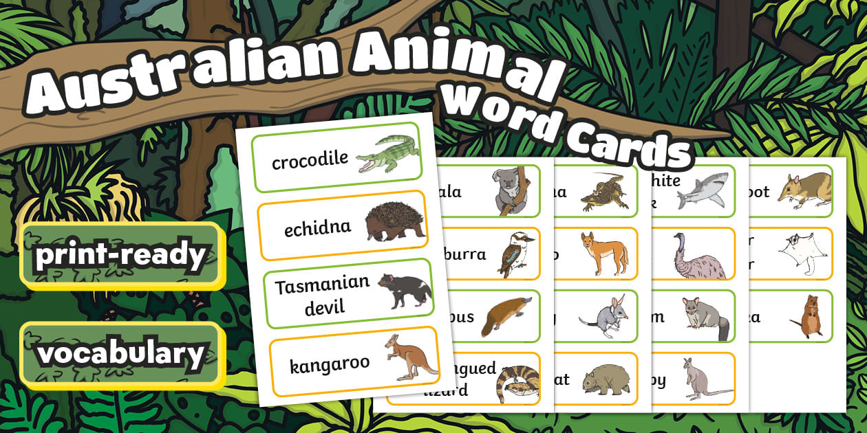 Australian Animals List and Pictures | Word Cards | Twinkl